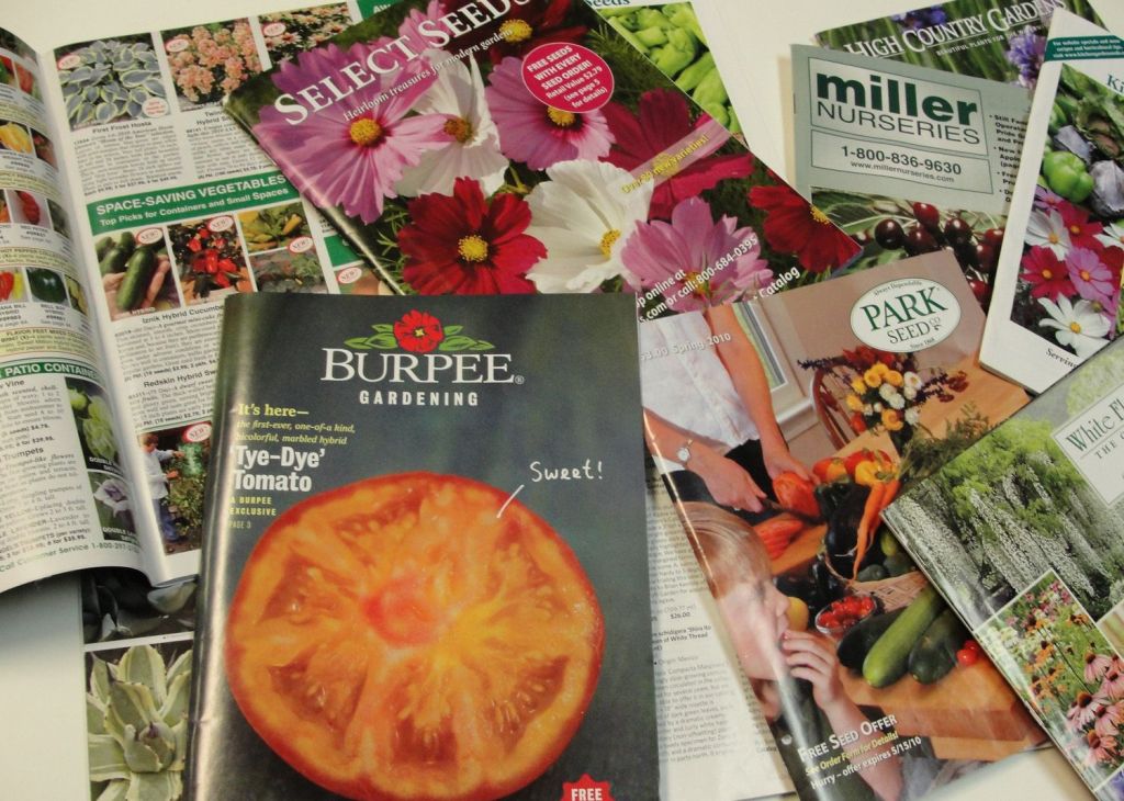 Seed catalogs a tantalizing peak at possibilities - Salisbury Post ...