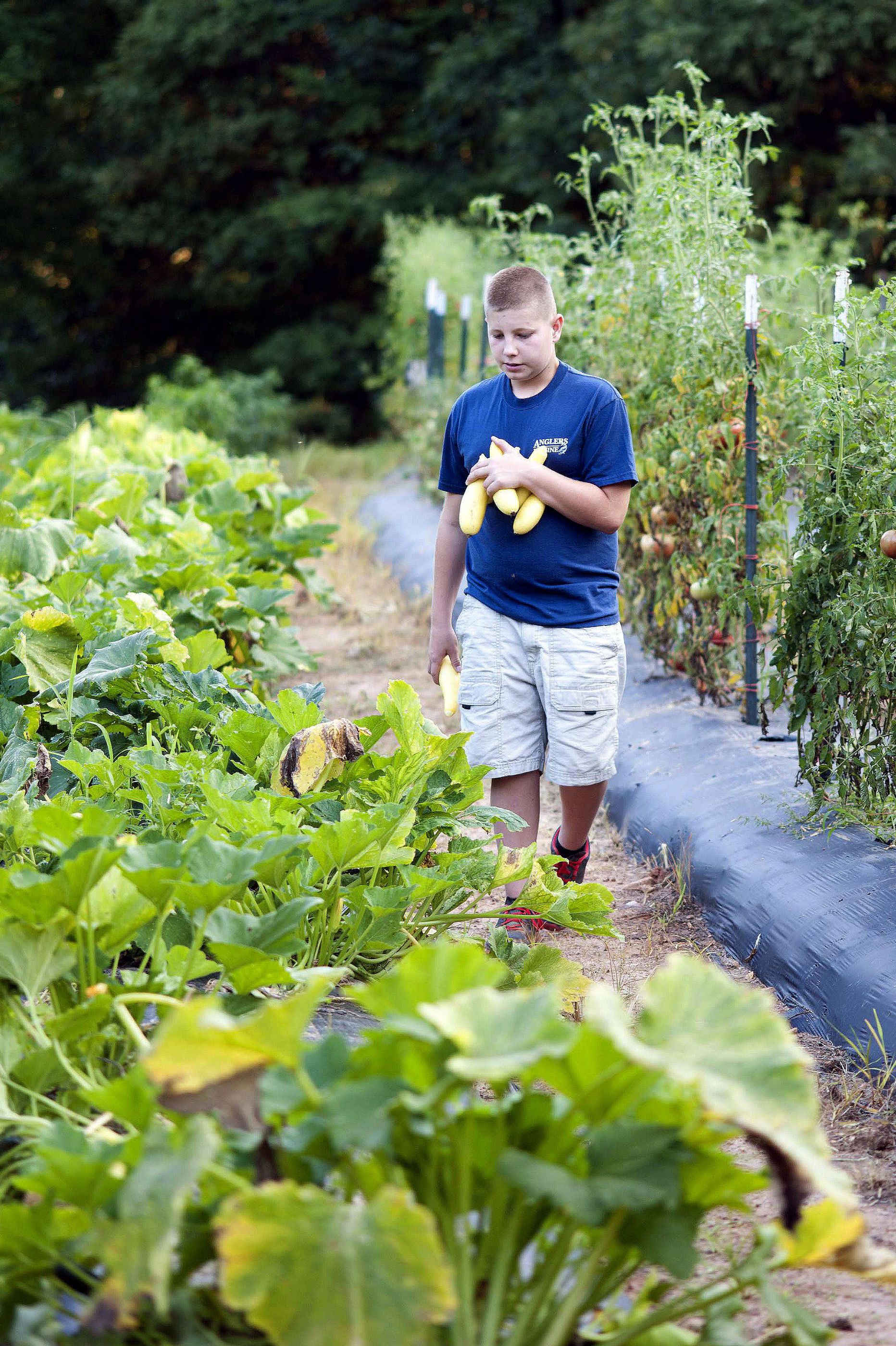 12-year-old Harrison Shell sells produce from his own garden ...