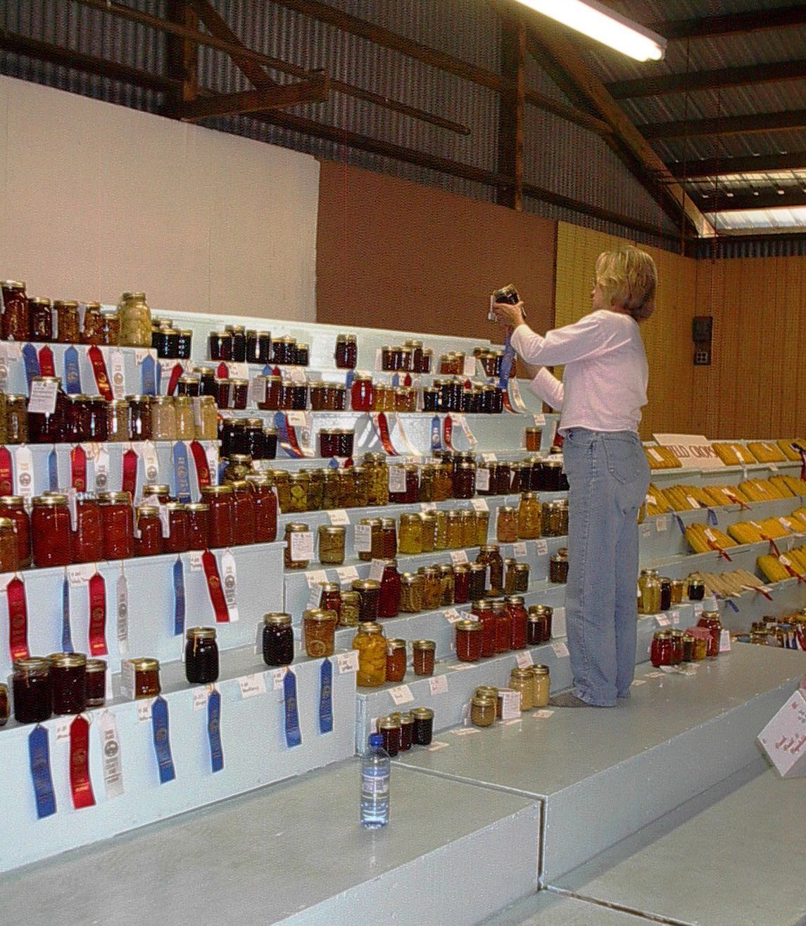 County fair longer this year; entry forms online | Salisbury Post