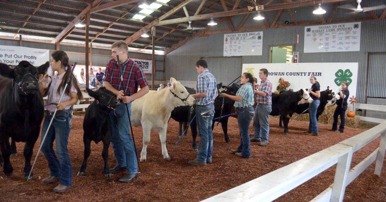 Beef cattle show highlight of county fair Monday | Salisbury Post