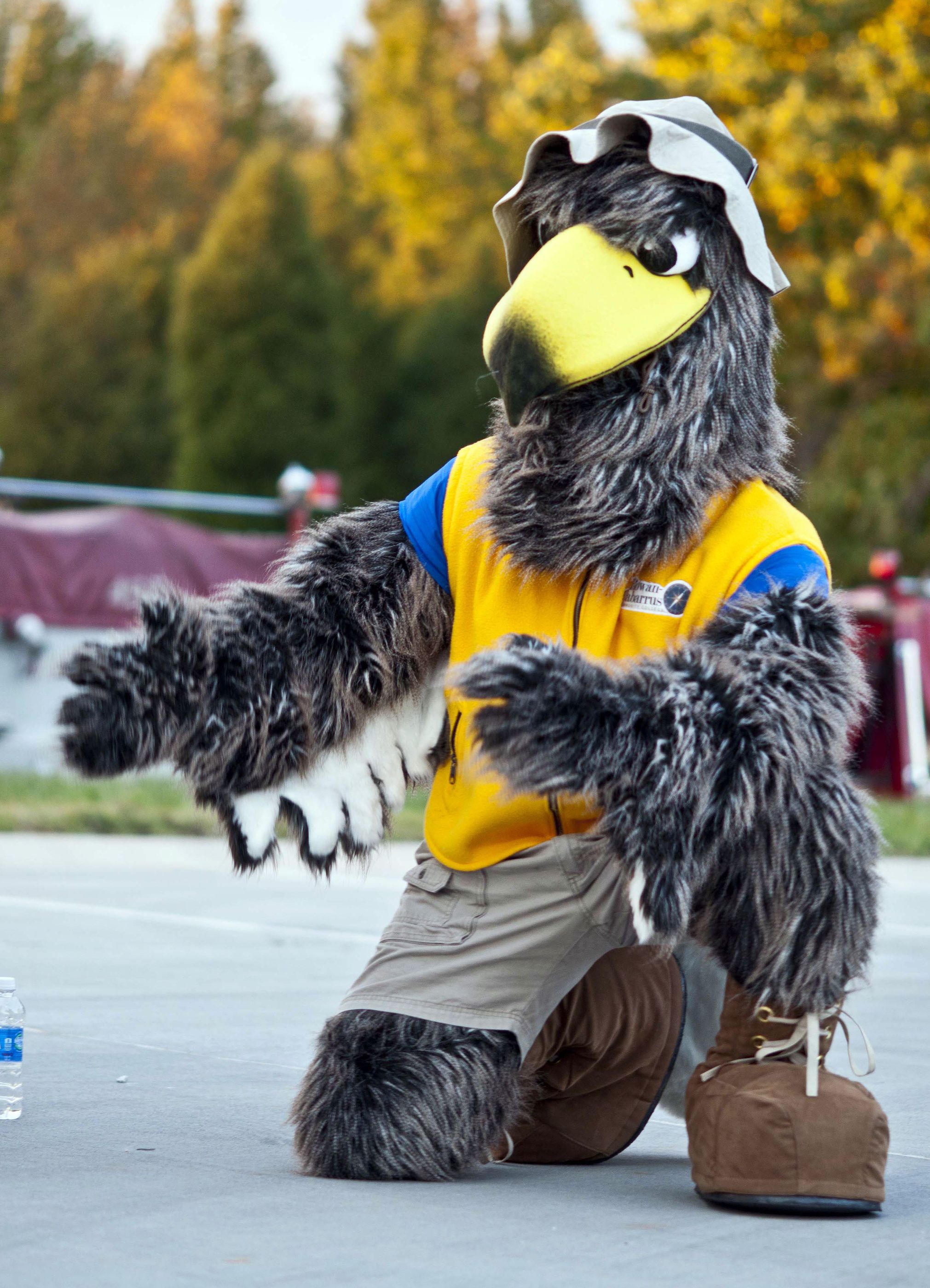 Rowan-Cabarrus introduces new mascot | Salisbury Post