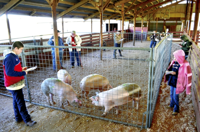 Rowan County livestock judging and Skillathon contest | Salisbury Post