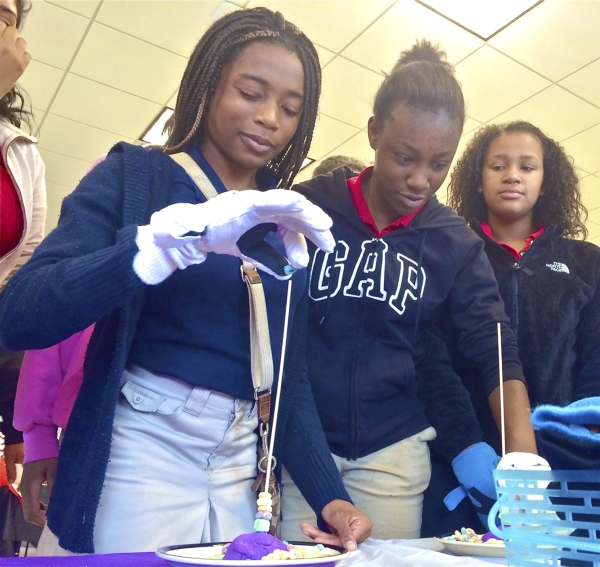 Science comes to life at STEM Open House | Salisbury Post