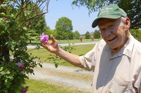 Clyde Harriss and the Rowan Rose Society will showcase their best at ...