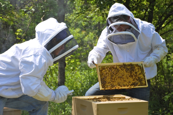 Catawba students start beekeeping project | Salisbury Post