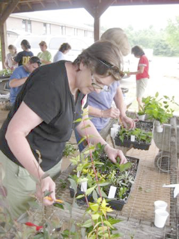 Plant propagation workshop July 1 | Salisbury Post
