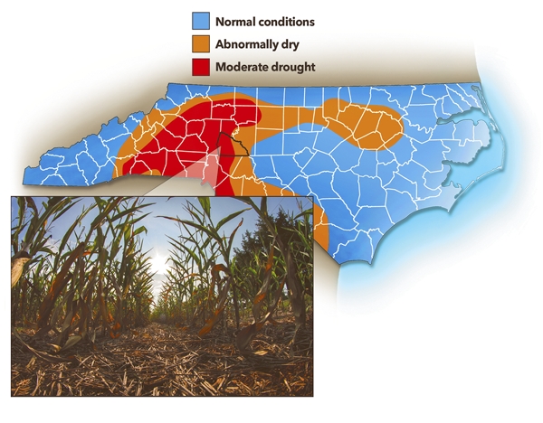 No predictable end to 2015’s moderate drought | Salisbury Post