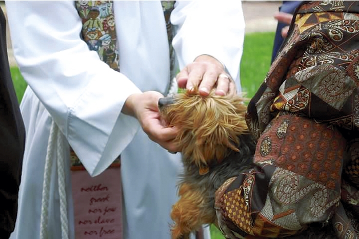 Blessing of the animals | Salisbury Post