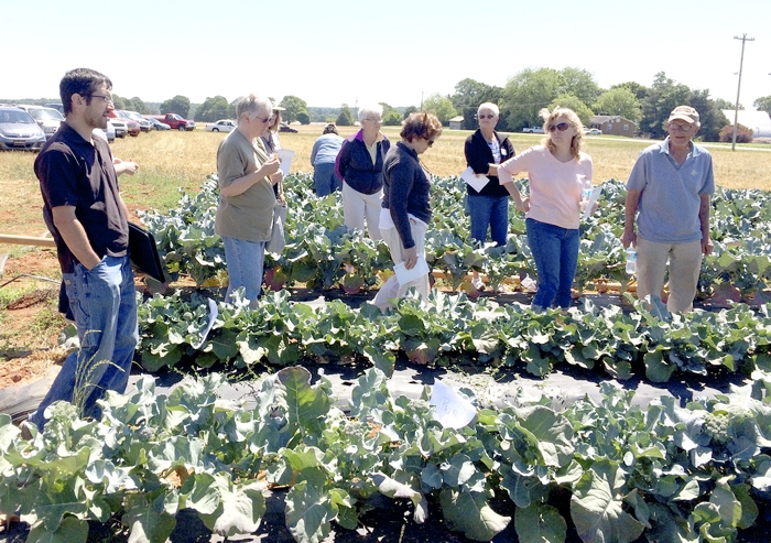 Find out about the best broccoli May 13 | Salisbury Post