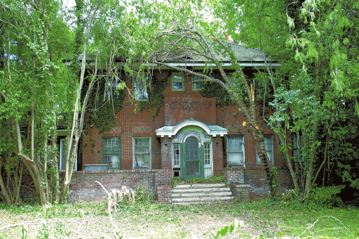 House uncovered: HSF volunteers bring down vegetation to get better ...