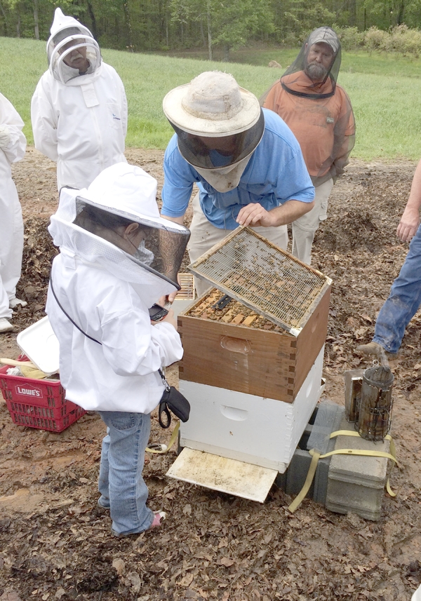 Young beekeepers can be part of special program | Salisbury Post