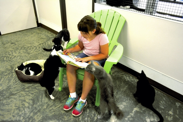 Feline fun: Kids read to cats during library’s summer program ...