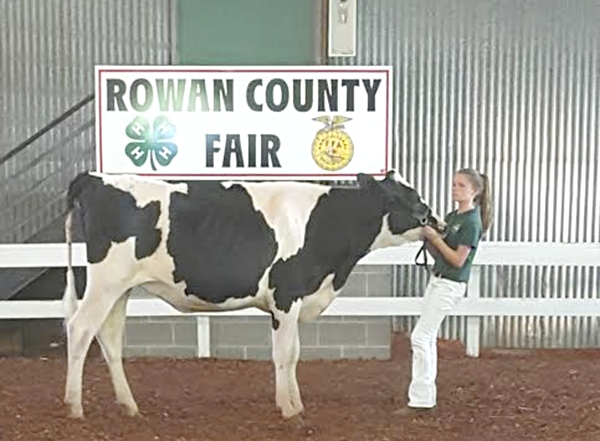 Rowan Junior Dairy Show produces winners | Salisbury Post