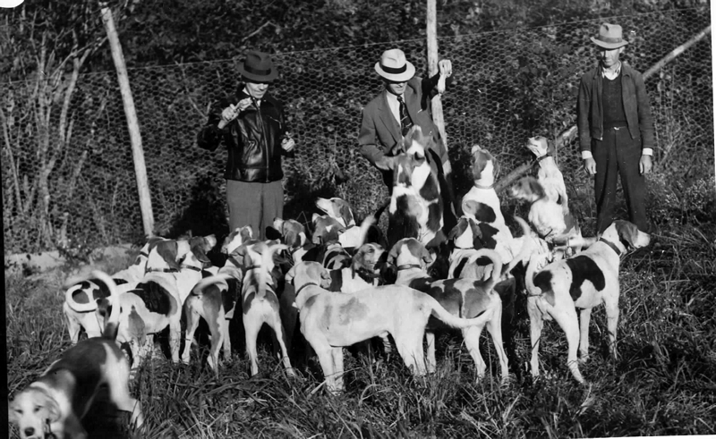 Yesterday: In 1938, local houndsmen dish out some rewards | Salisbury Post