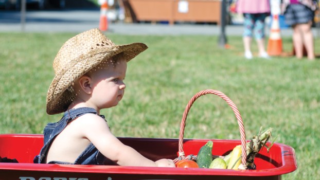 Farmer’s Day 2017: A new stage, bubbles and fun for all - Salisbury ...