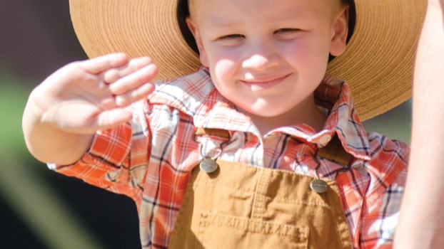 Farmer’s Day 2017: A new stage, bubbles and fun for all - Salisbury ...