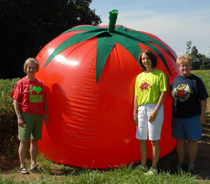 ‘All Things Tomato’ to be celebrated at Aug. 19 festival | Salisbury Post