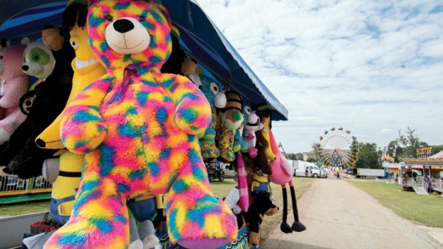 Fair days ahead: Rowan County Fair ready for opening Friday afternoon ...