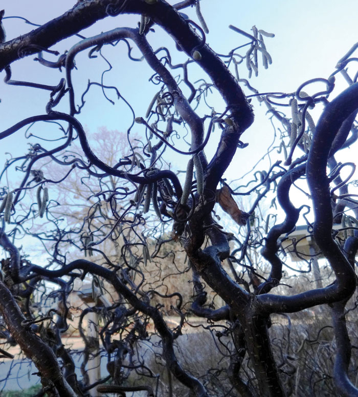 Home & Garden: Quick landscape fixes | Salisbury Post