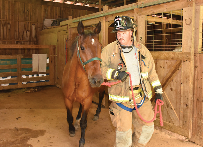 Firefighter clinic: Horses and heroes join together at Midnight’s ...