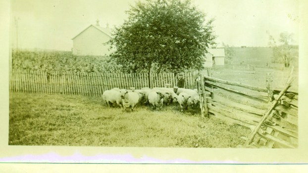 Cultivating a legacy: Preserving the history of agriculture in Rowan ...