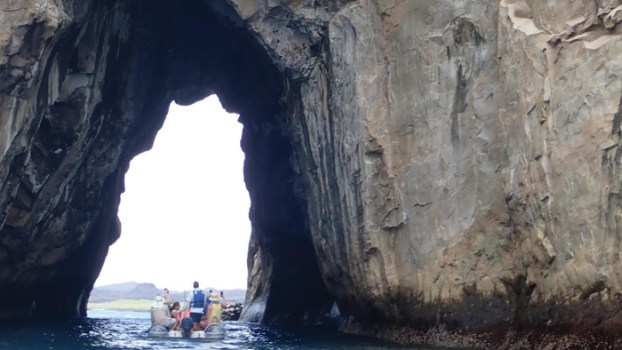 'This one's for you, Mr. Peck': Frances Shepherd's trip to the ...