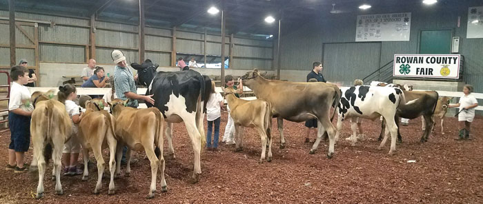 Local youth participate in Rowan County Jr. Dairy Show | Salisbury Post