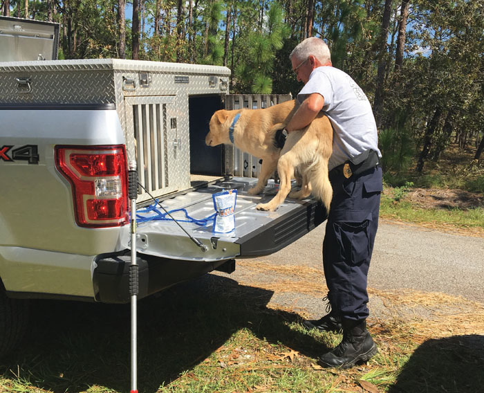 Rowan Animal Services staff aid struggling coastal communities ...