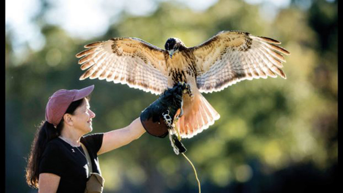 Winter issue of Salisbury the Magazine is now available | Salisbury Post