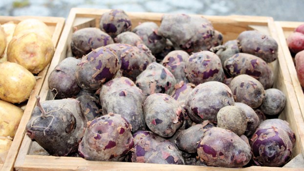 Potato salad makes summer taste better - Salisbury Post | Salisbury Post