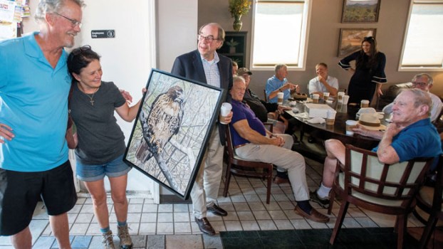 A 'Belle' of a surprise: Koco Java bunch presents falconer Bernhardt ...