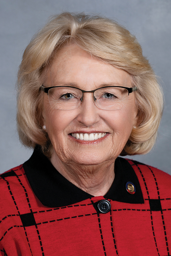 Cabarrus County Rep. Linda Johnson dies | Salisbury Post