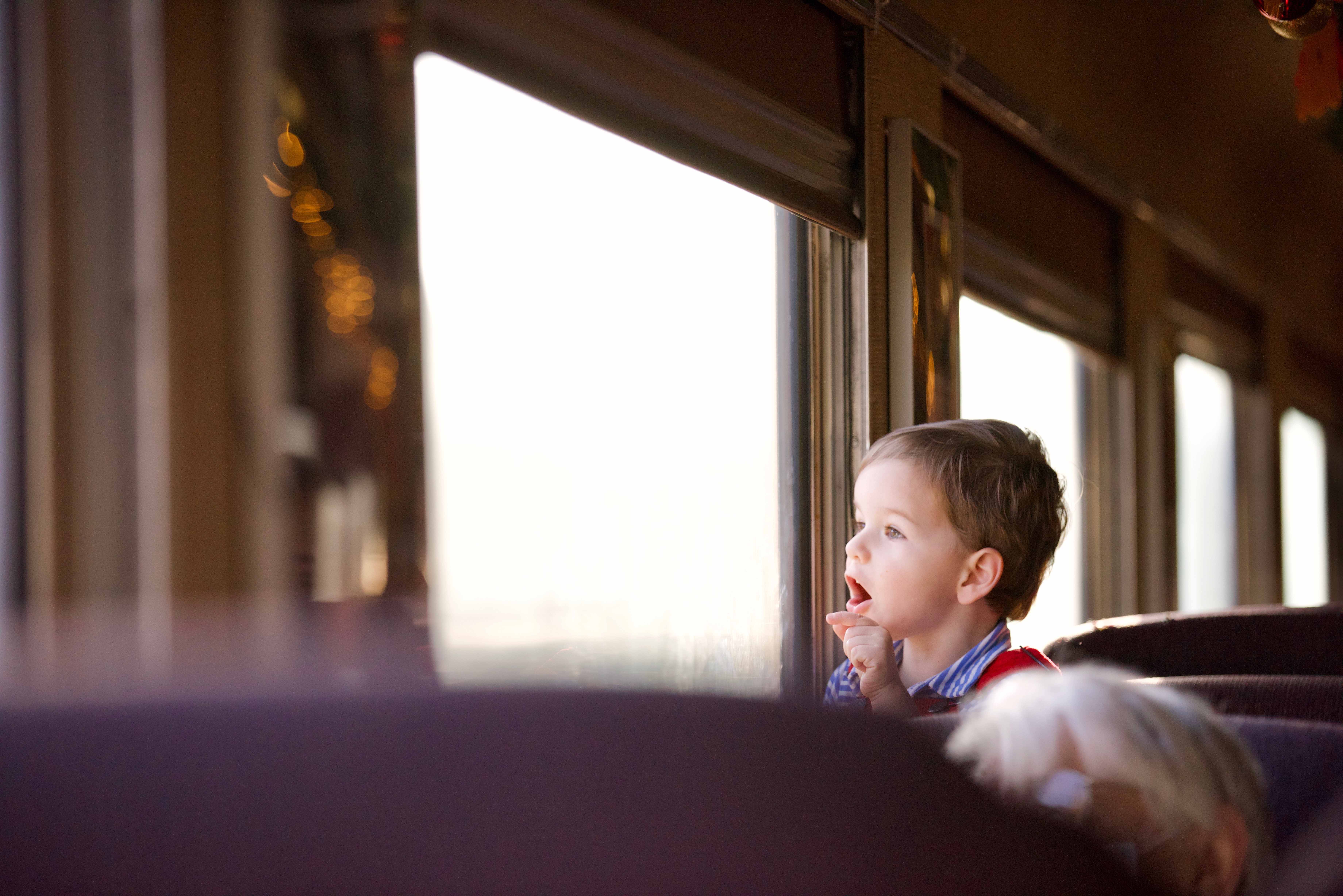 Candy Cane Train makes maiden voyage at Transportation Museum, lights ...