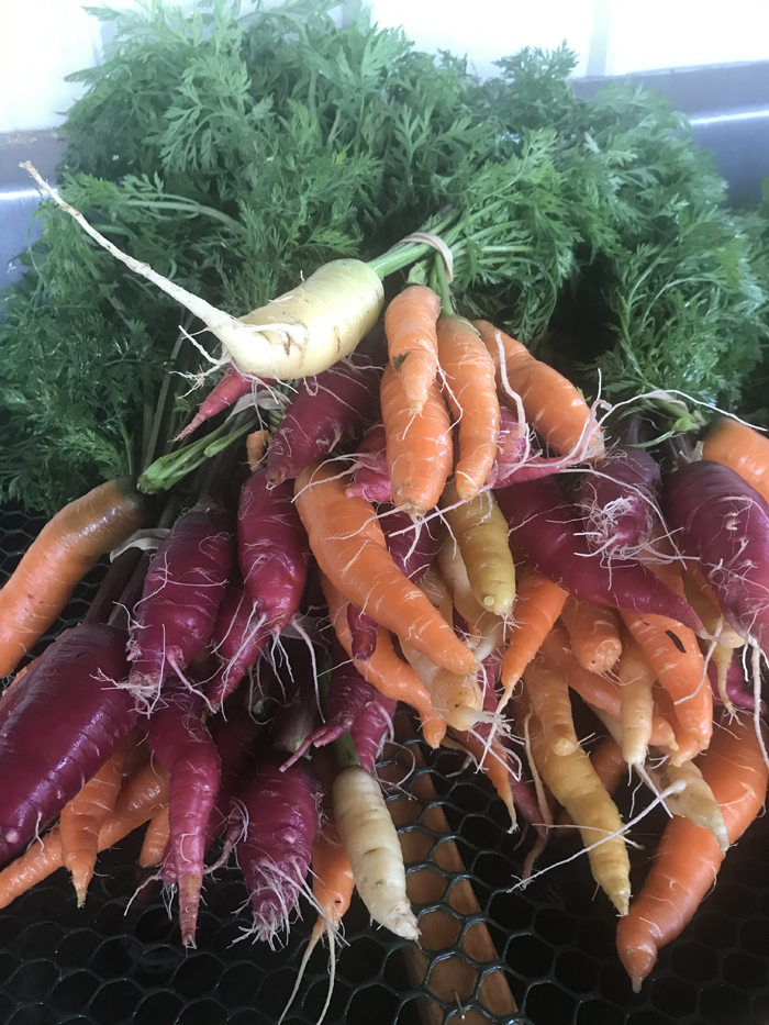 Michael O. Fine column: Some vegetables are sweeter after a frost ...