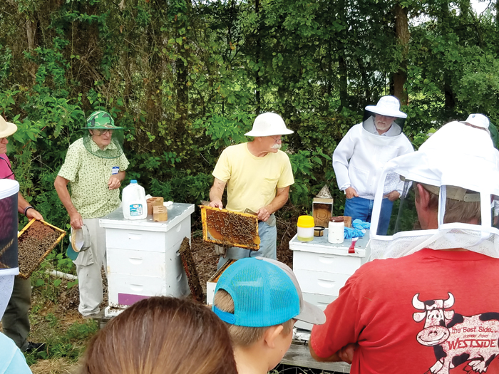 Be a beekeeper | Salisbury Post