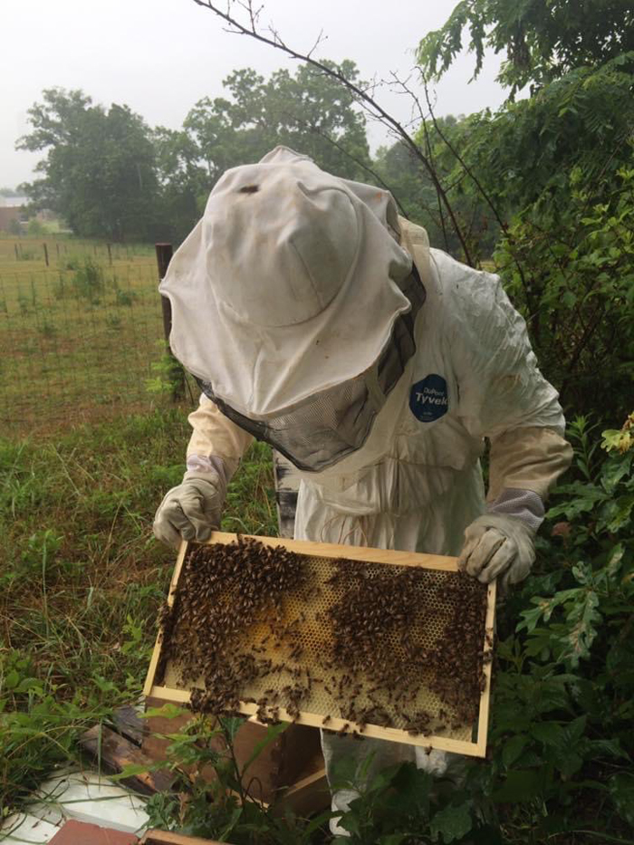 Cody Craddock: Beekeeping a hobby you can enjoy at home | Salisbury Post