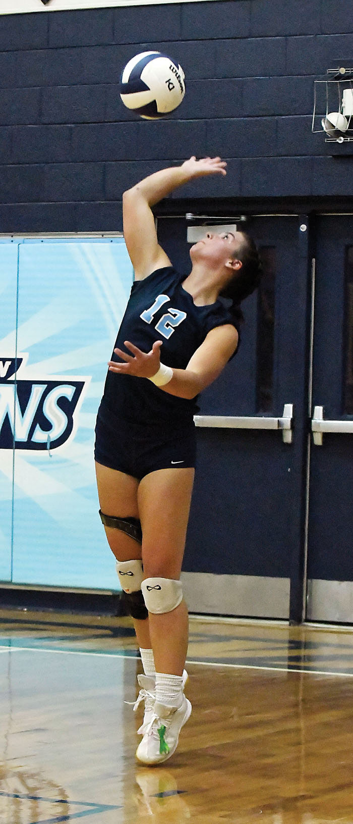 Photo gallery: Falcons ousted from volleyball playoffs after tough loss ...