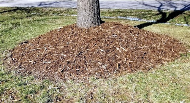 Darrell Blackwelder: Adding fresh mulch can spice up landscape ...