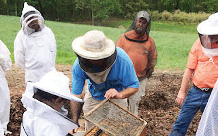 Amy-Lynn Albertson: Be a beekeeper | Salisbury Post