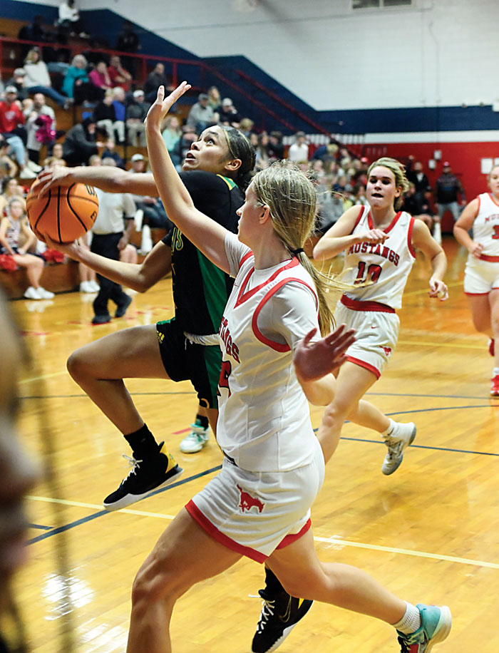 High school girls basketball: North girls win on road, 51-40 over ...