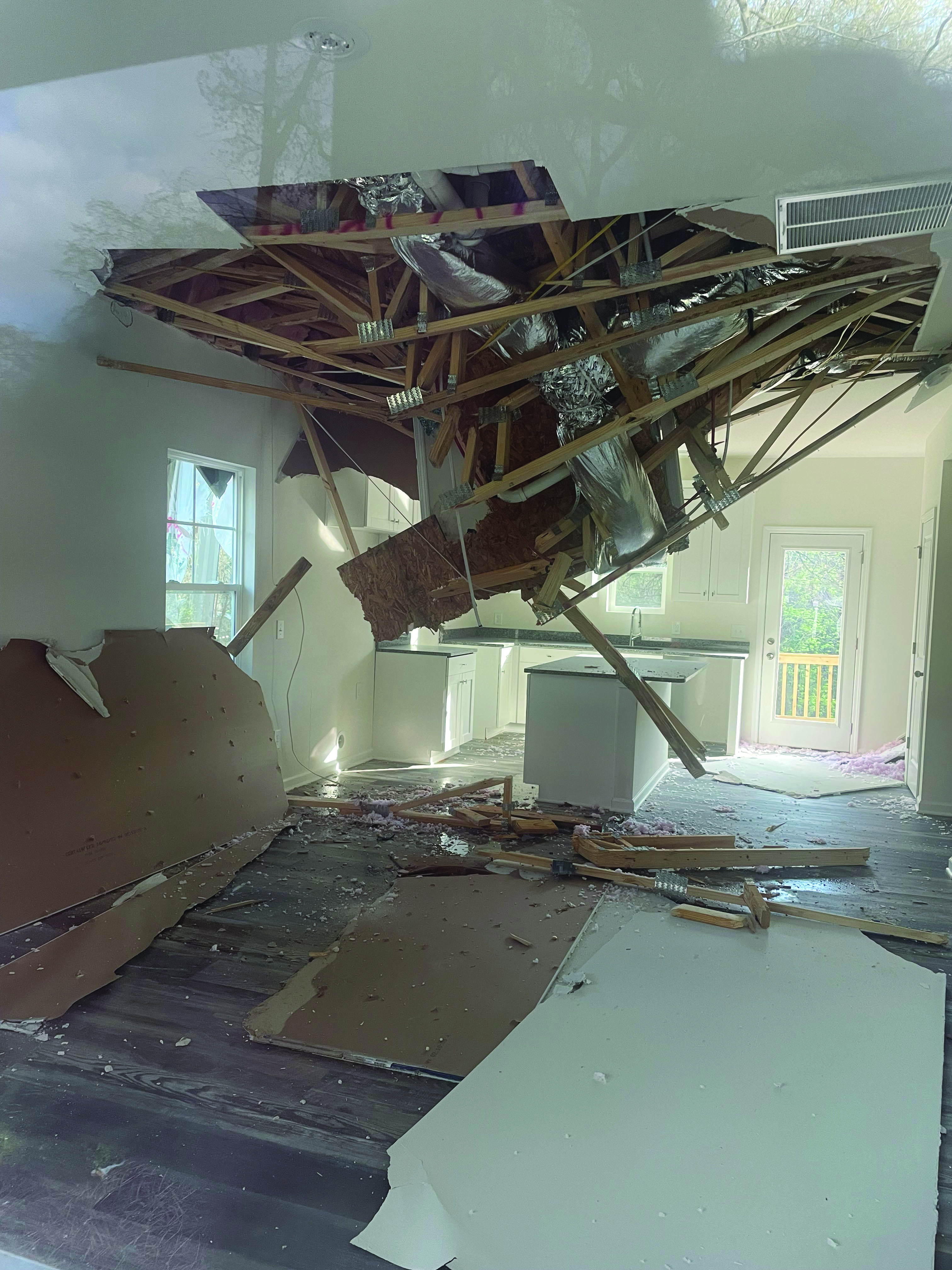 Arrest made after two trees are cut, land on and cause extensive damage ...