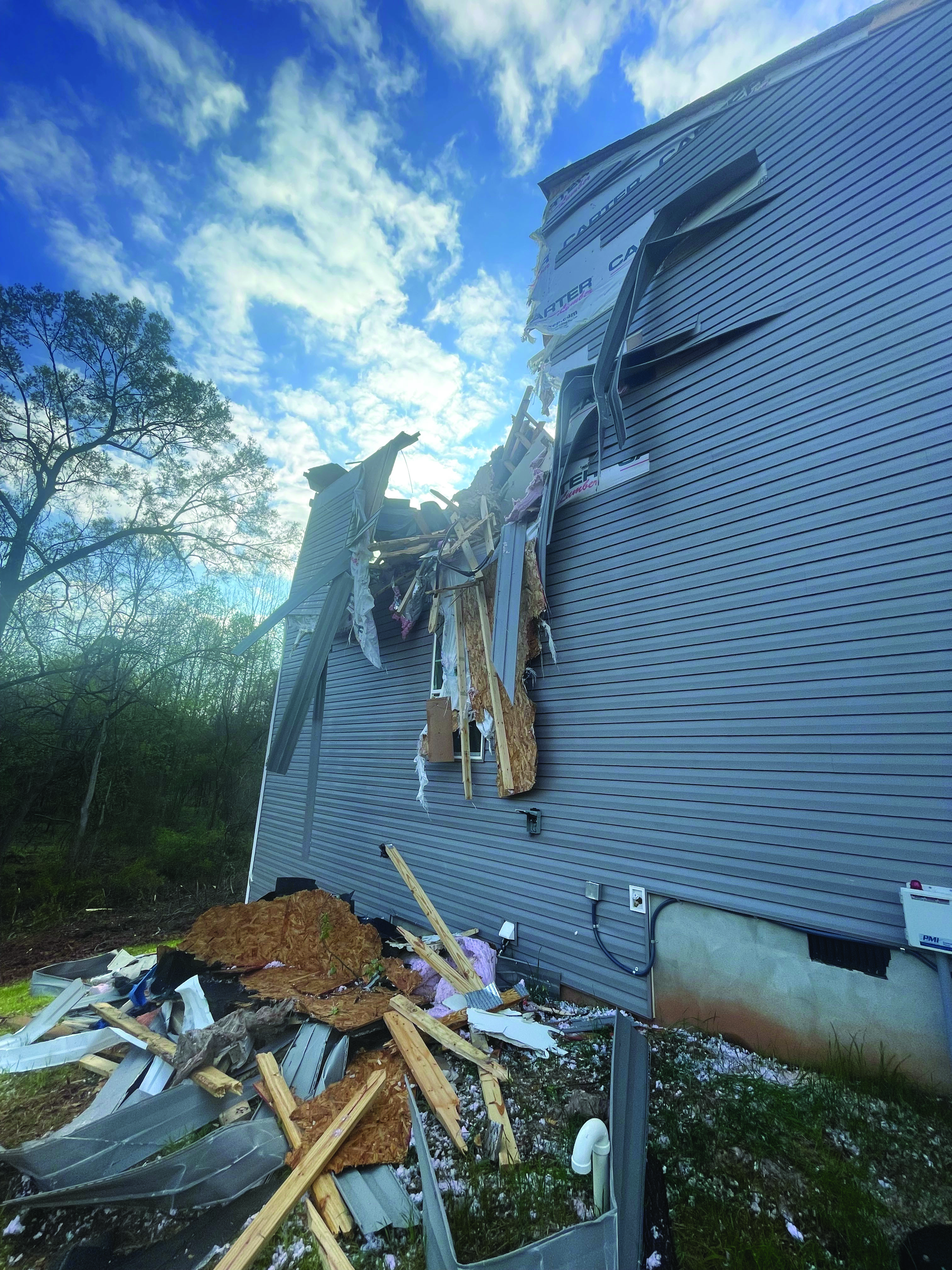 Arrest made after two trees are cut, land on and cause extensive damage ...