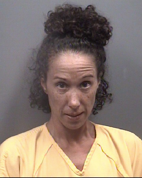 Mother arrested for 911 misuse, assault on an officer | Salisbury Post