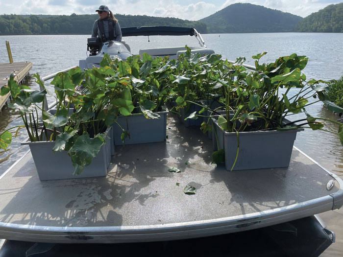 NC Wildlife Commission works to promote fish population in Tuckertown ...