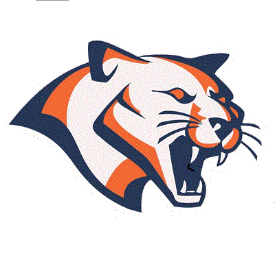 Junior Legion baseball: Carson wins opener | Salisbury Post