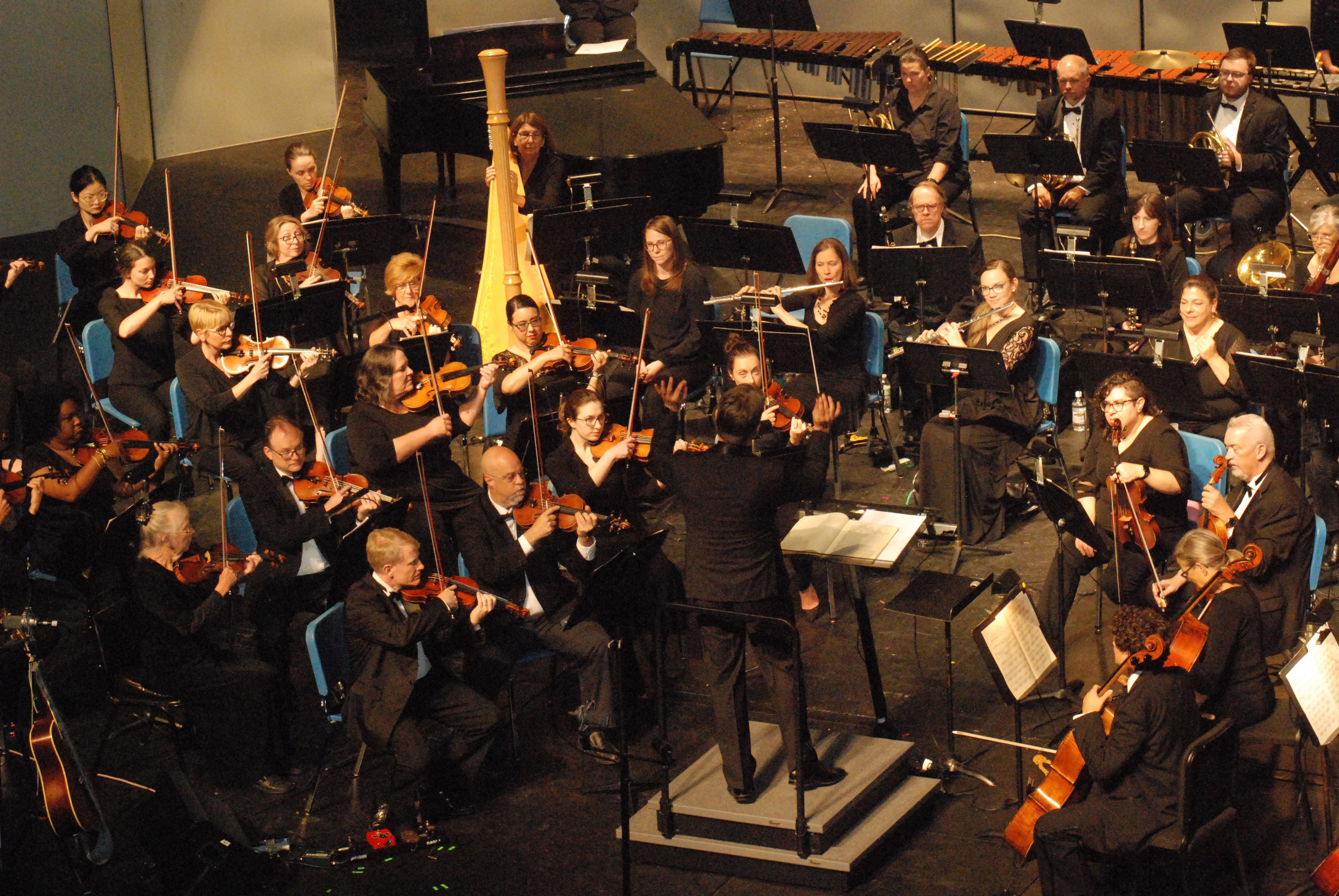 The hunt begins: Salisbury Symphony Orchestra season features director ...