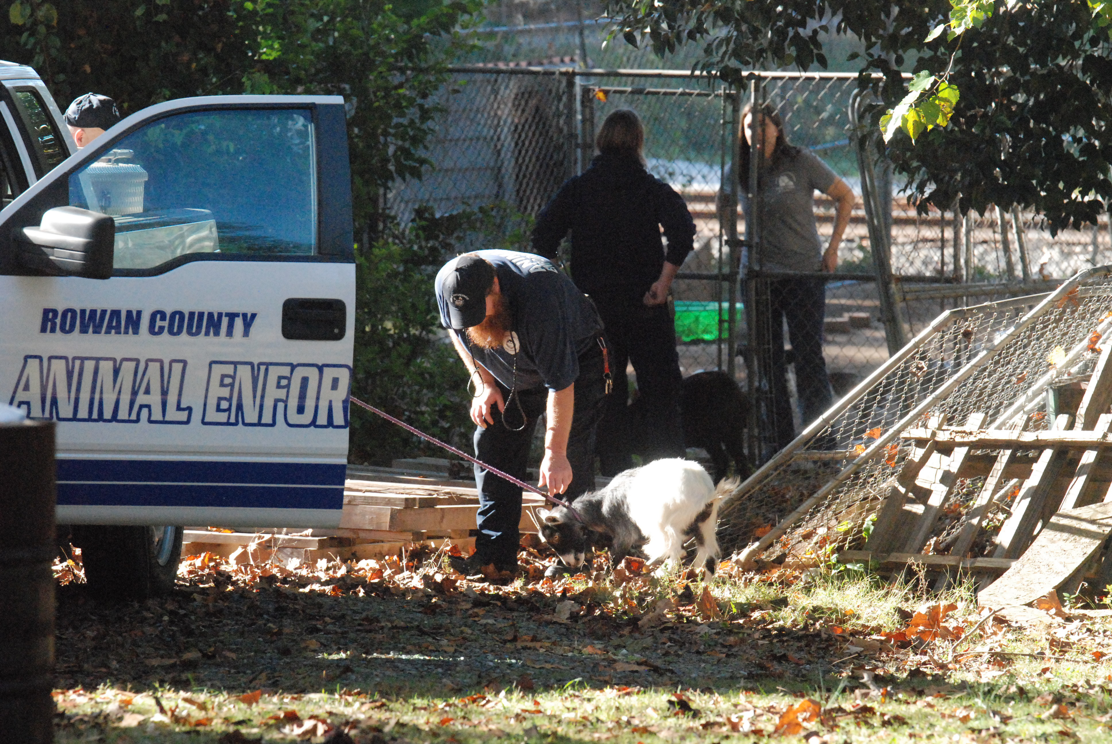 Animal Enforcement seizes animals from home after alleged abuse ...