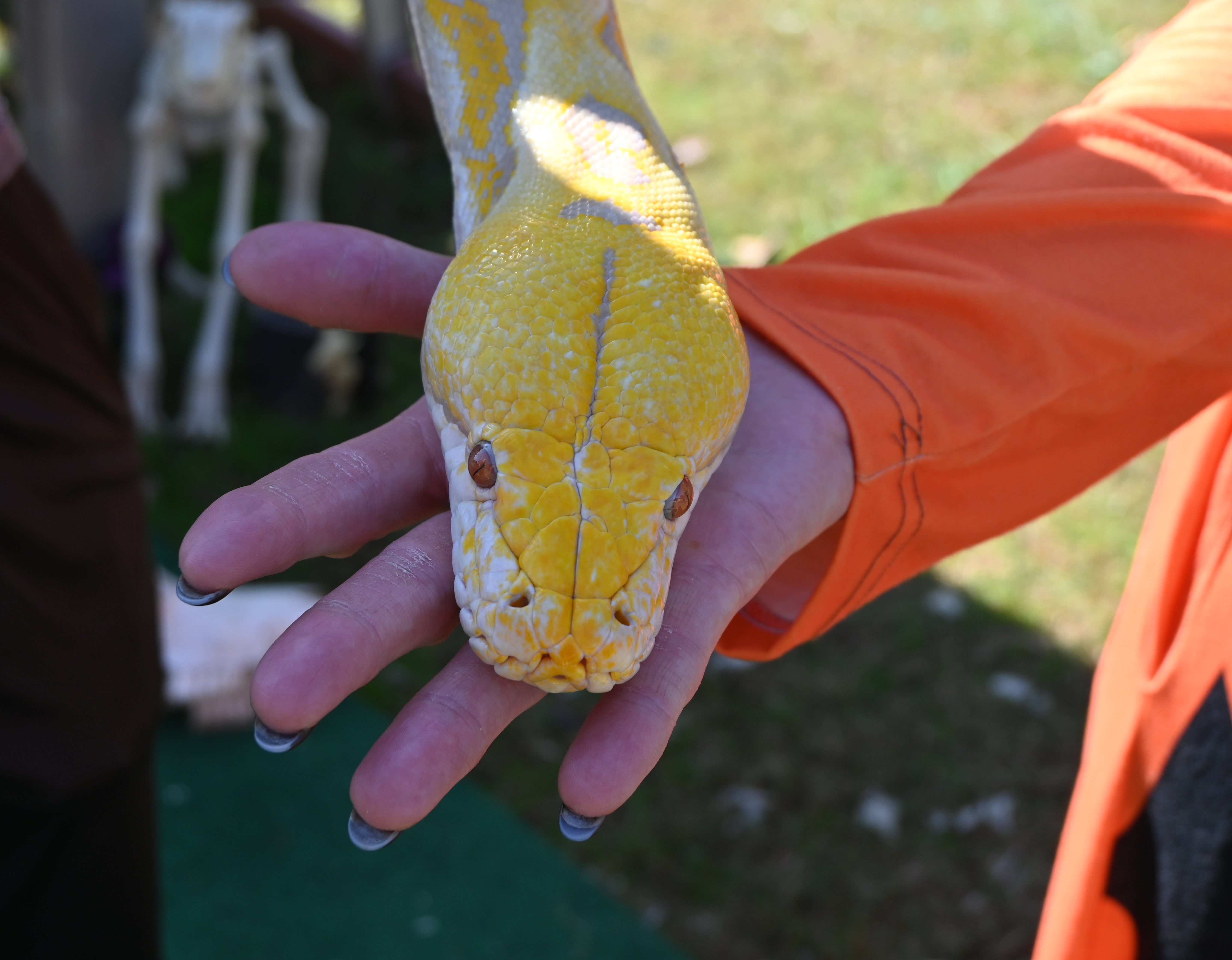 “Boo at the Zoo” is a scary good time | Salisbury Post