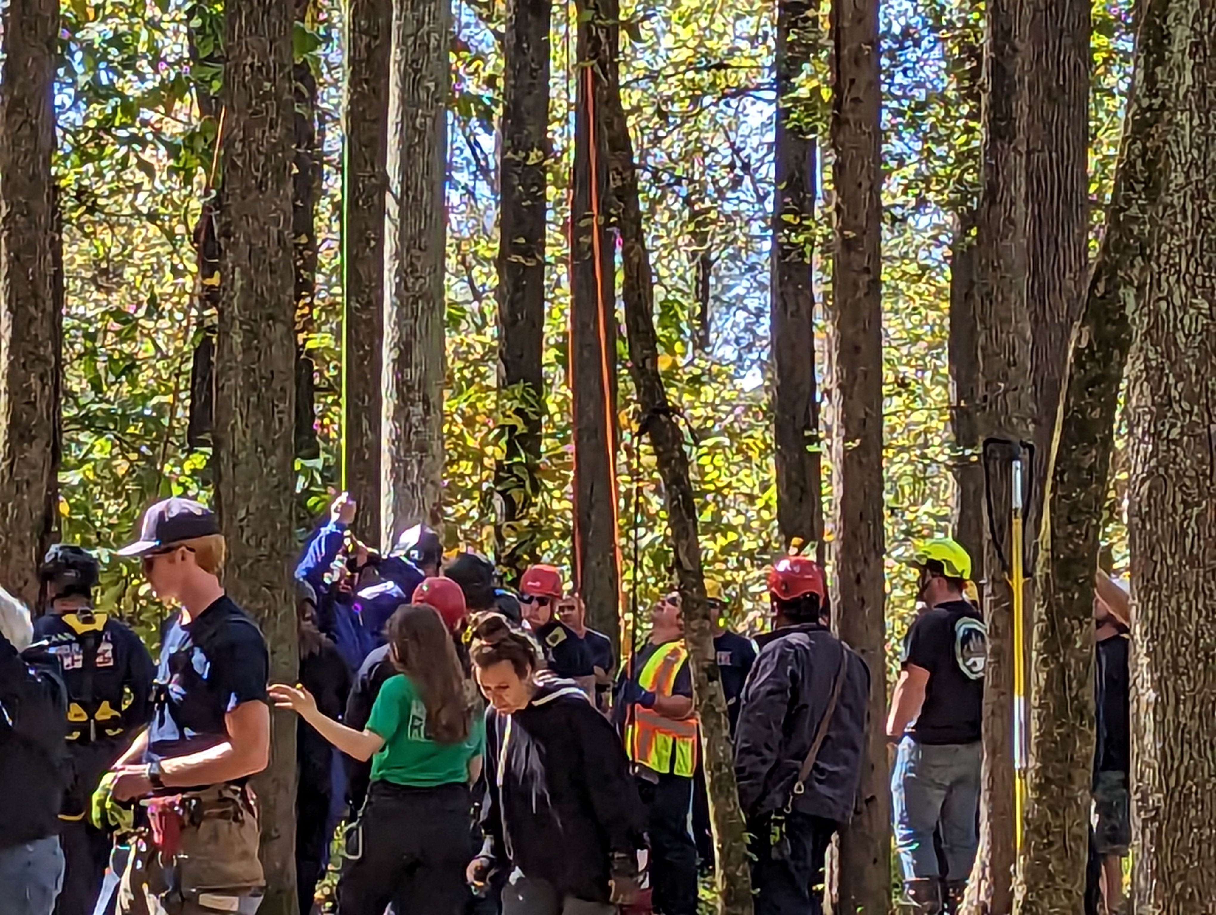 Rescue team frees parachuter trapped 80 feet above the ground ...