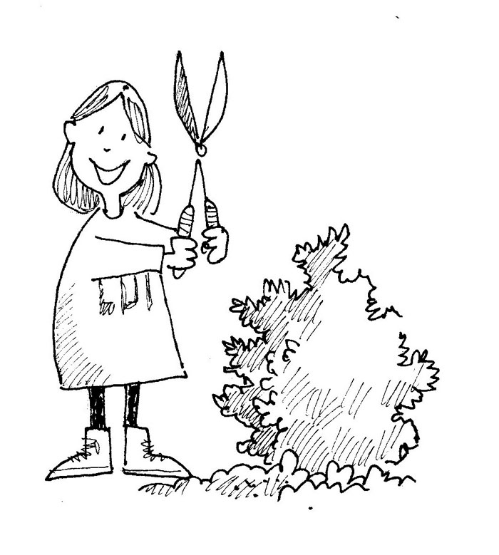 Darrell Blackwelder: Questions about pruning | Salisbury Post